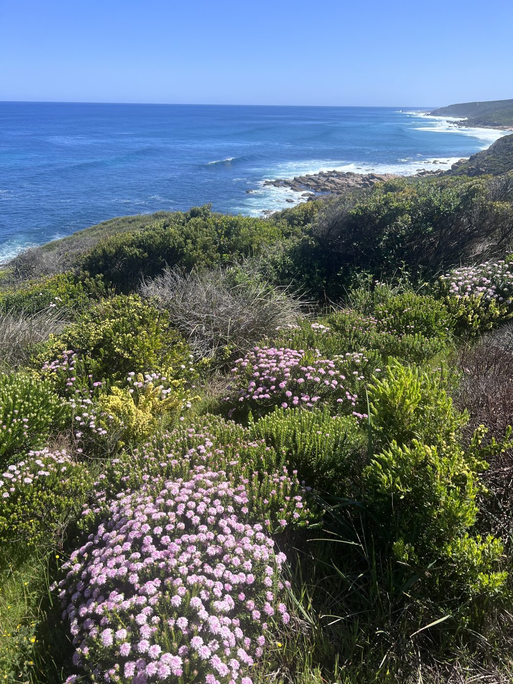 Western Australia's legendary Cape to Cape Track | Raw Travel