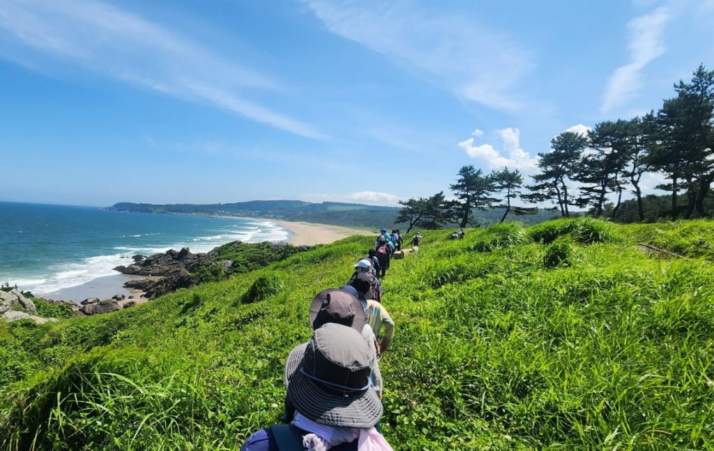 Michinoku Coastal Trail | Japan Walking Holidays | RAW Travel