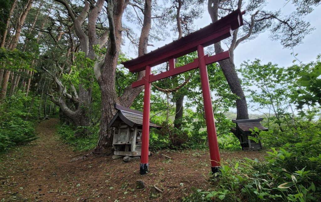 Michinoku Coastal Trail | Japan Walking Holidays | RAW Travel