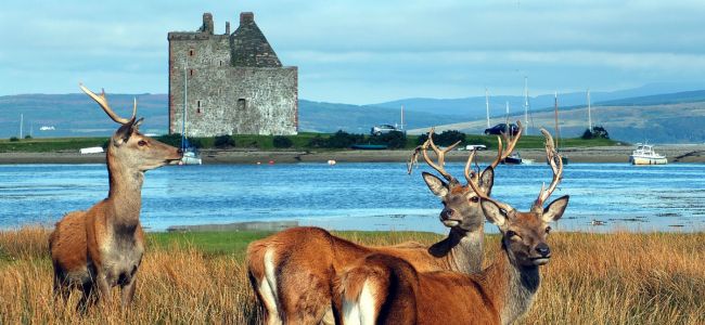 20 Reasons Why You Should Visit the Isle of Arran in Scotland