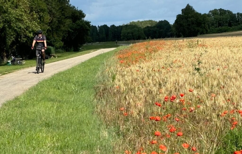 Loire Valley by E-bike | Orelans to Saumur | RAW Travel